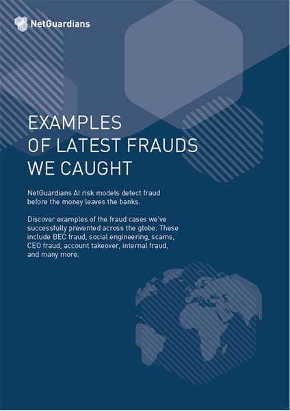 PDF - Fraud cases NetGuardians caught
